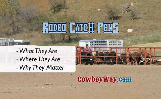 The Rodeo Catch Pens
