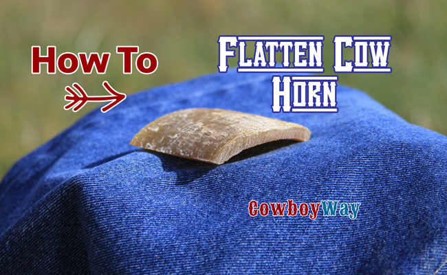 Flatten Cow Horn