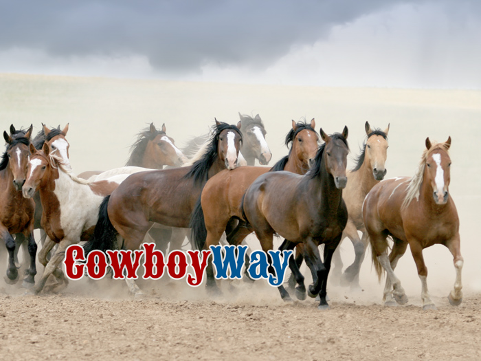 Welcome To CowboyWay.com